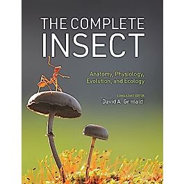 Architectura & Natura - The Complete Insect - Anatomy, Physiology ...