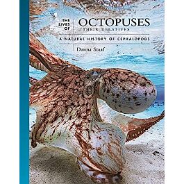 Architectura & Natura - The Lives of Octopuses - A Natural History of the Cephalopods