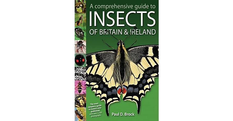 Architectura & Natura - A Comprehensive Guide to Insects of Britain ...