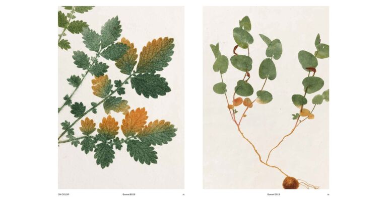 Architectura & Natura - Capturing Nature - 150 Years of Nature Printing