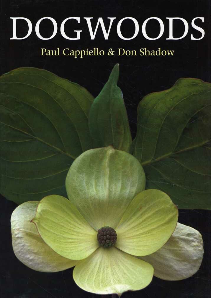 Architectura & Natura - Dogwoods : The genus Cornus