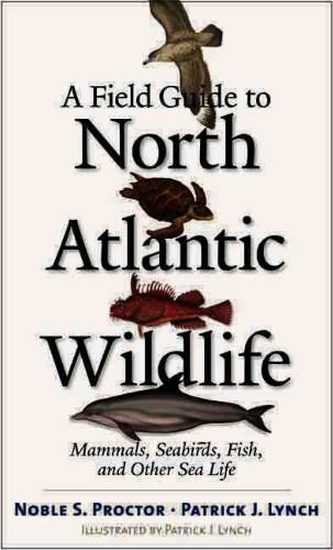 Architectura & Natura - Field Guide to North Atlantic Wildlife - Marine ...