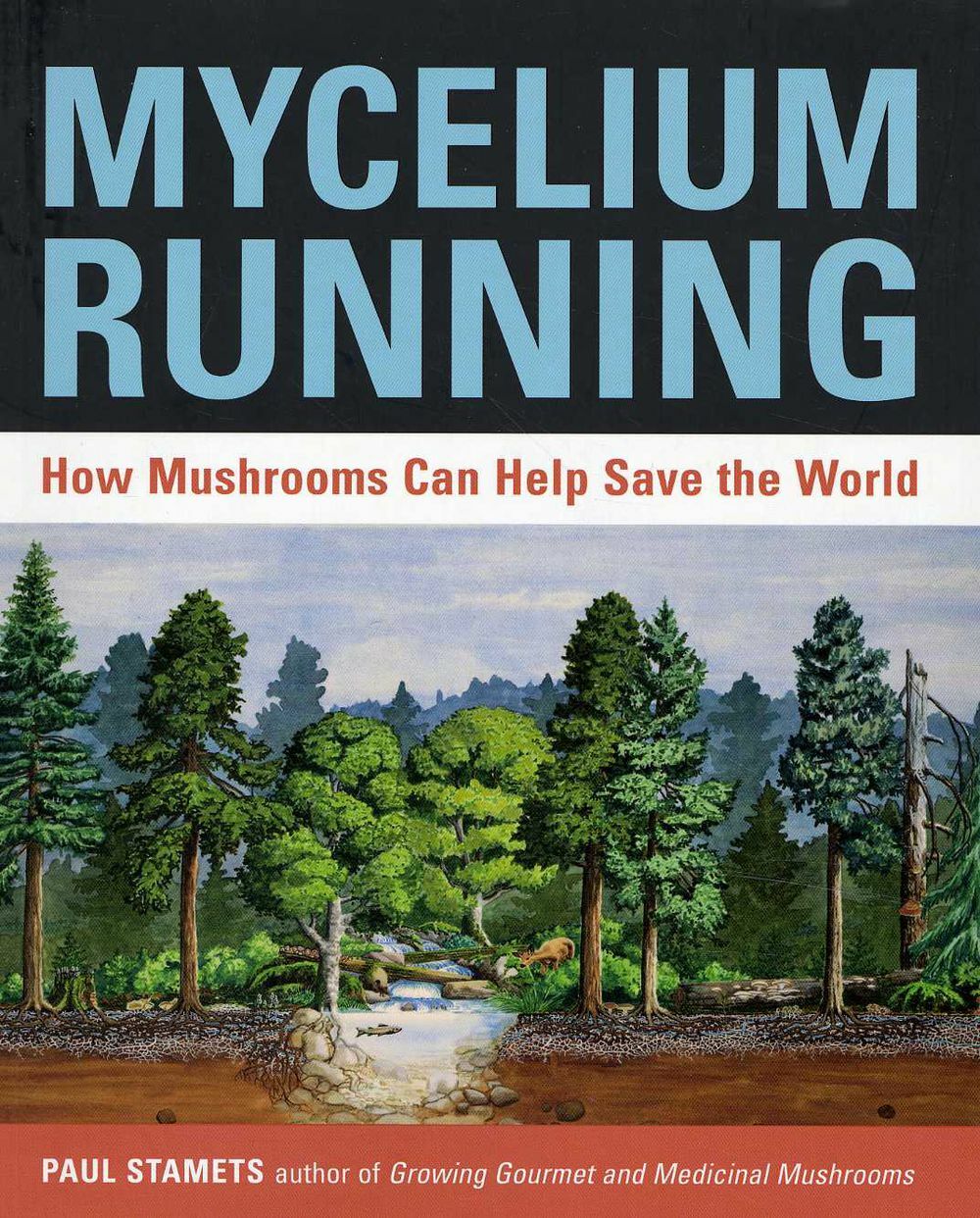Architectura & Natura - Mycelium Running - How Mushrooms Can Help Save ...